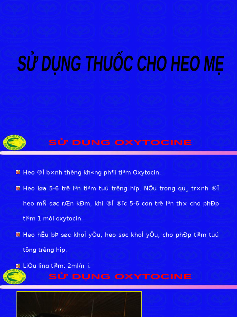 5-Quy Trinh Su Dung Thuoc Cho Heo Me | PDF