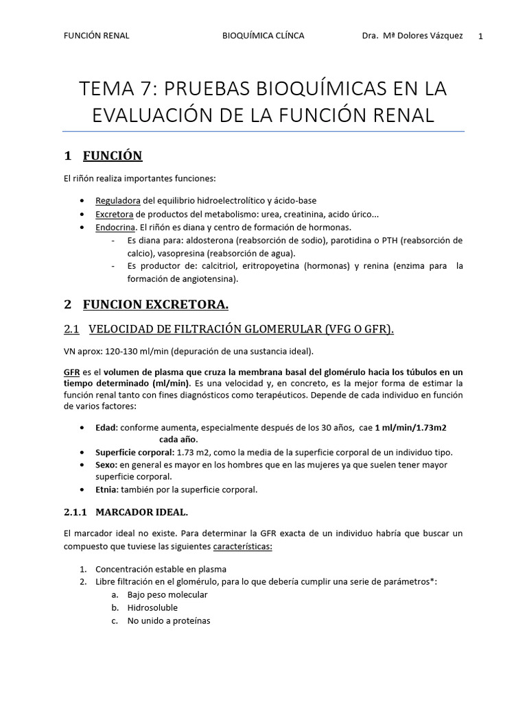 Estilo T07. Pruebas Bioquímicas en La Evaluación de La Función Renal (E14a, E14b, E19c) ) | PDF ...