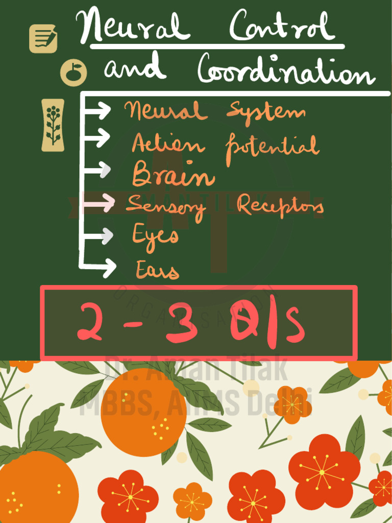 18.neural Control & Coordination - Organized | PDF | Nervous System | Axon