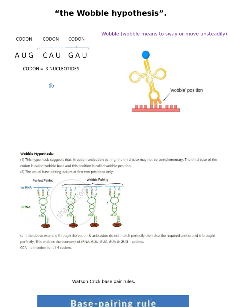 The Wooble Hypothesis | PDF