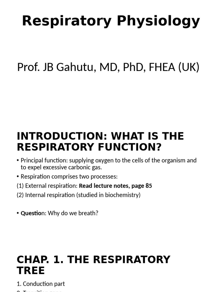 Respiratory Physiology Presentation Slides. | PDF | Respiratory System ...