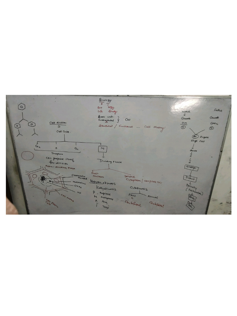 PDFGallery 20250406 104429 | PDF