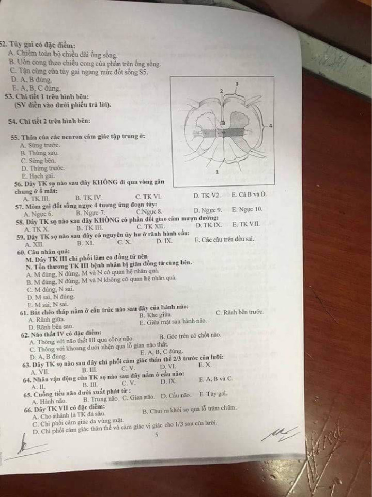 Trac Nghiem Giai Phau Dai Hoc y Duoc Hue 114467 | PDF