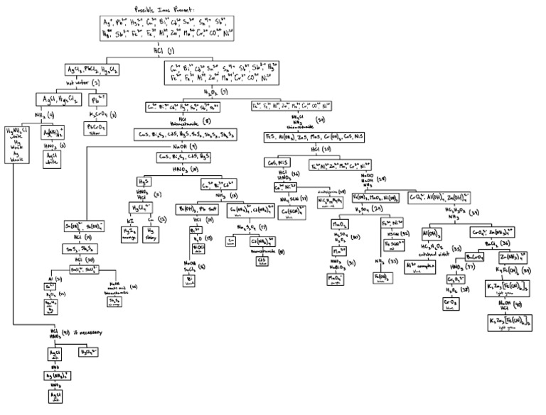 All Ions Chart | PDF
