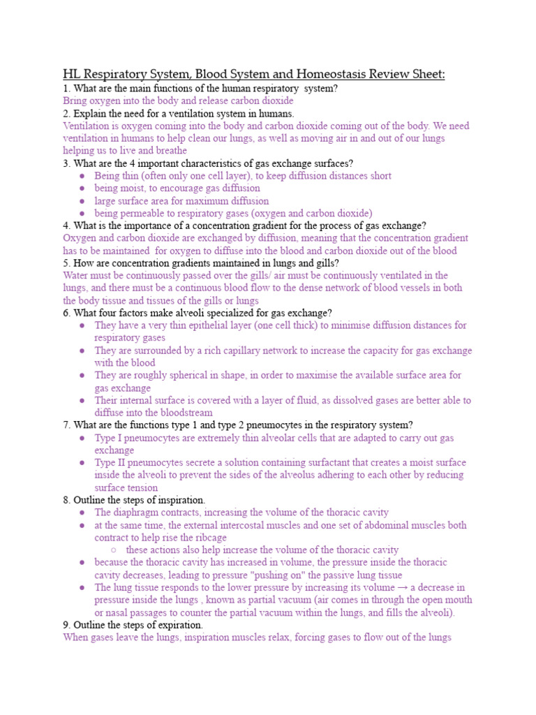 HL Respiratory System, Blood System and Homeostasis Review Sheet | PDF ...