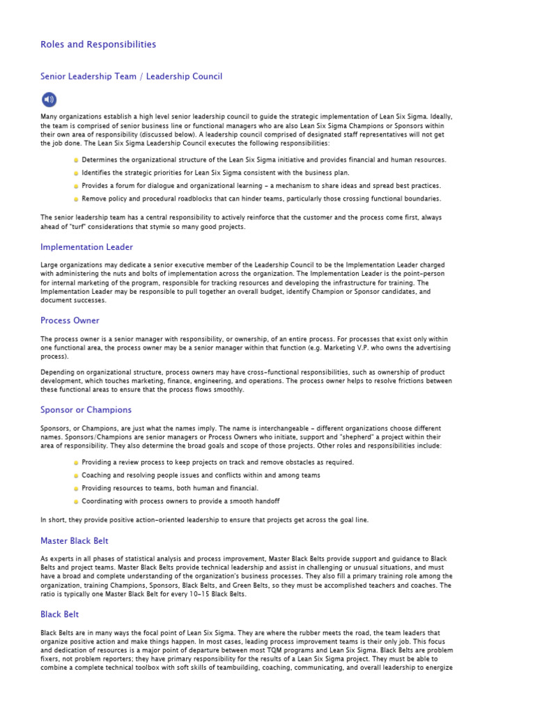 Lean 6 Sigma Roles and Repos | PDF | Six Sigma | Leadership