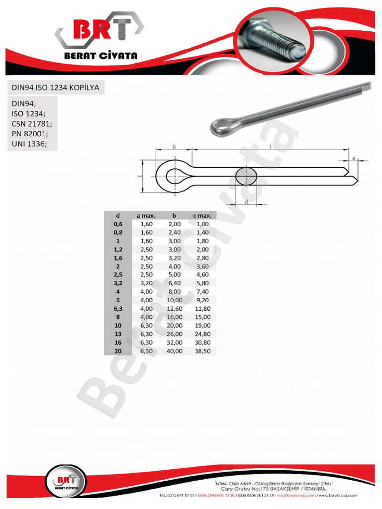 02 - Berat Civata - Din94 Iso 1234 Kopi̇lya | PDF
