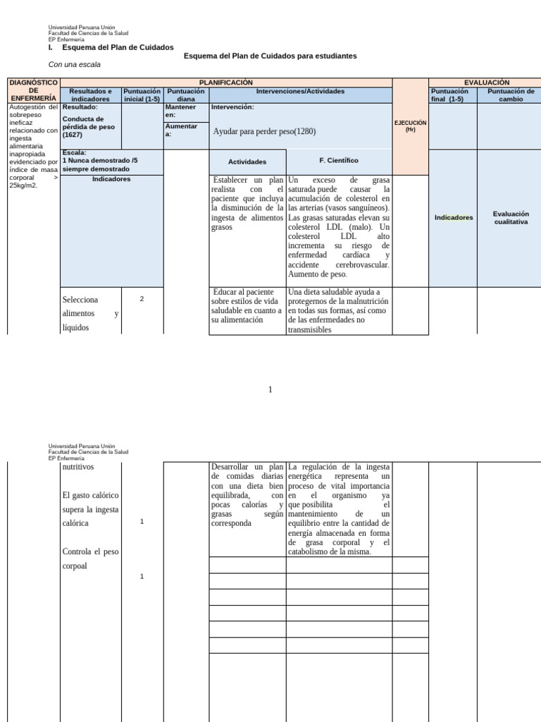 Autogestión Del Sobrepeso Ineficaz | PDF | Obesidad | gordo