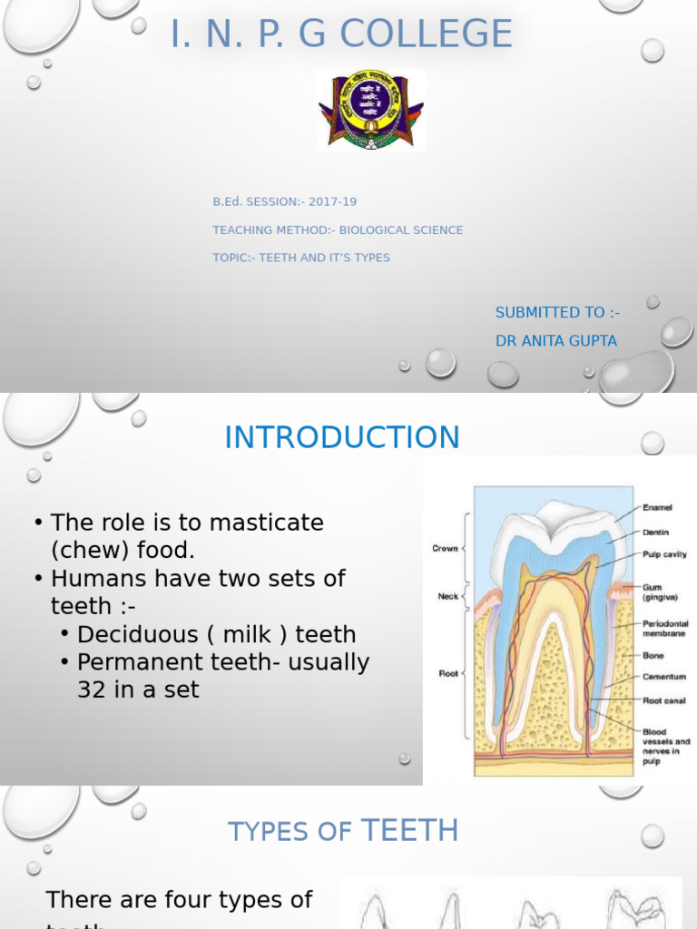 Biological Science - Teeth | PDF