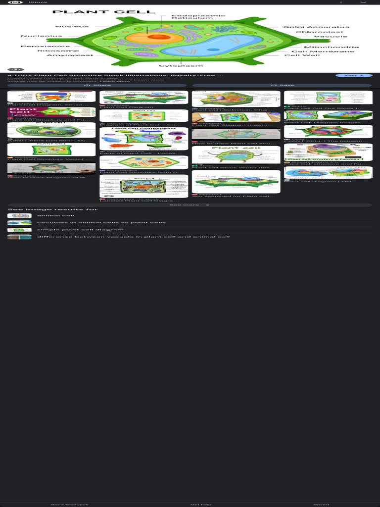 Plant Cell Drawing and Labeling Guide | PDF | Cell (Biology ...