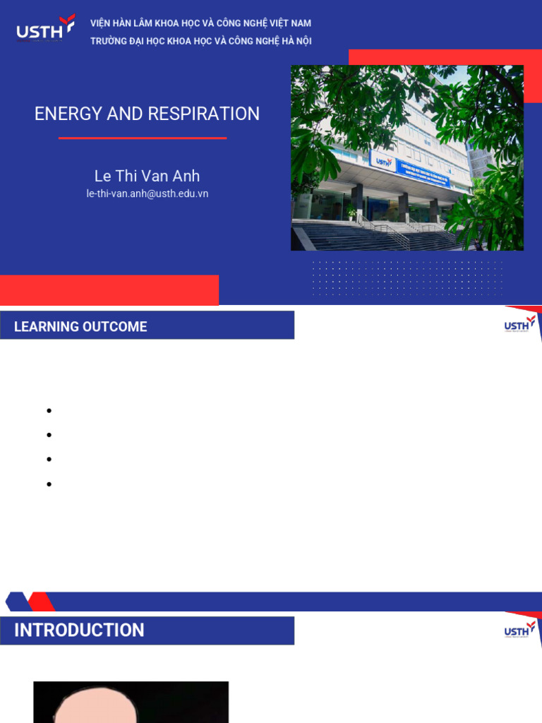 Lecture 3 - Energy and Respiration | PDF | Cellular Respiration ...