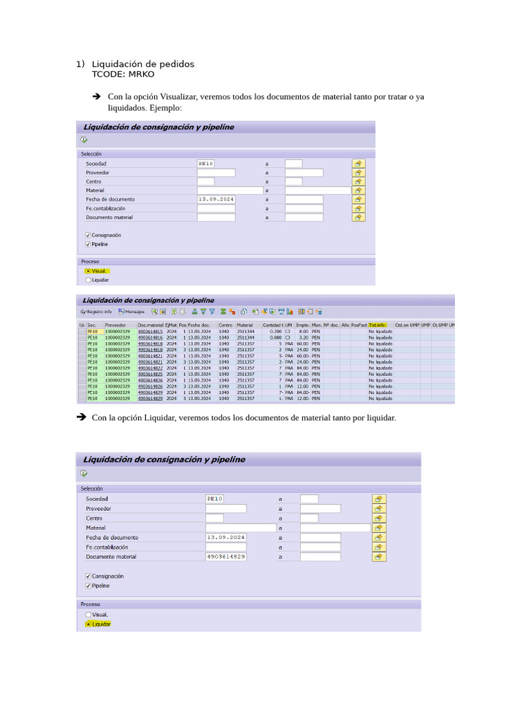 Liquidación de Pedidos en SAP MRKO | PDF