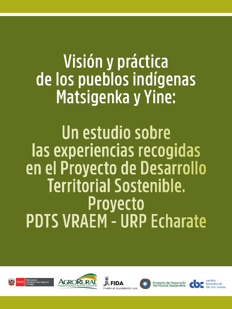 Sistematización Planes de Vida del Proyecto PDTS VRAEM: "Voces ...