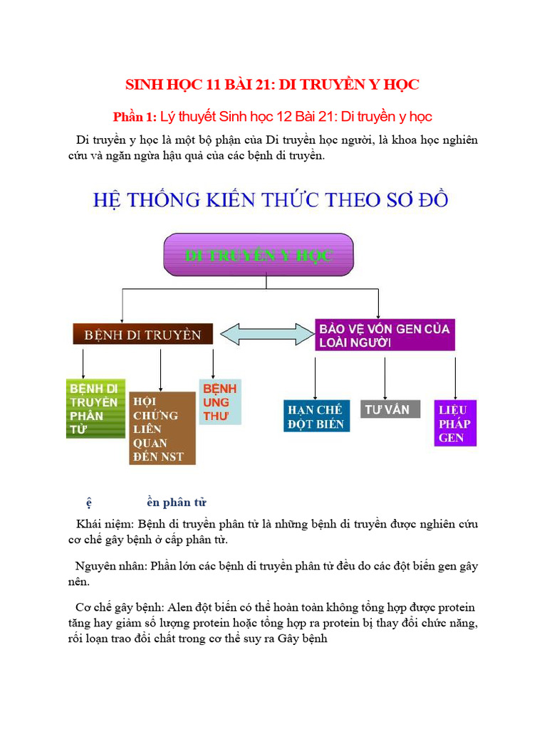 ly-thuyet-sinh-hoc-12-bai-21-moi-2023-66-cau-trac-nghiem-di-truyen-y-hoc | PDF
