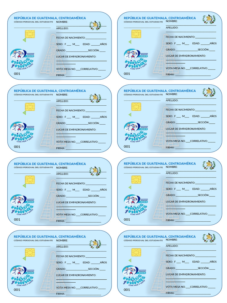 Modelo Dpi Estudiantil, Elecciones Gobierno Escolar 2025 | PDF