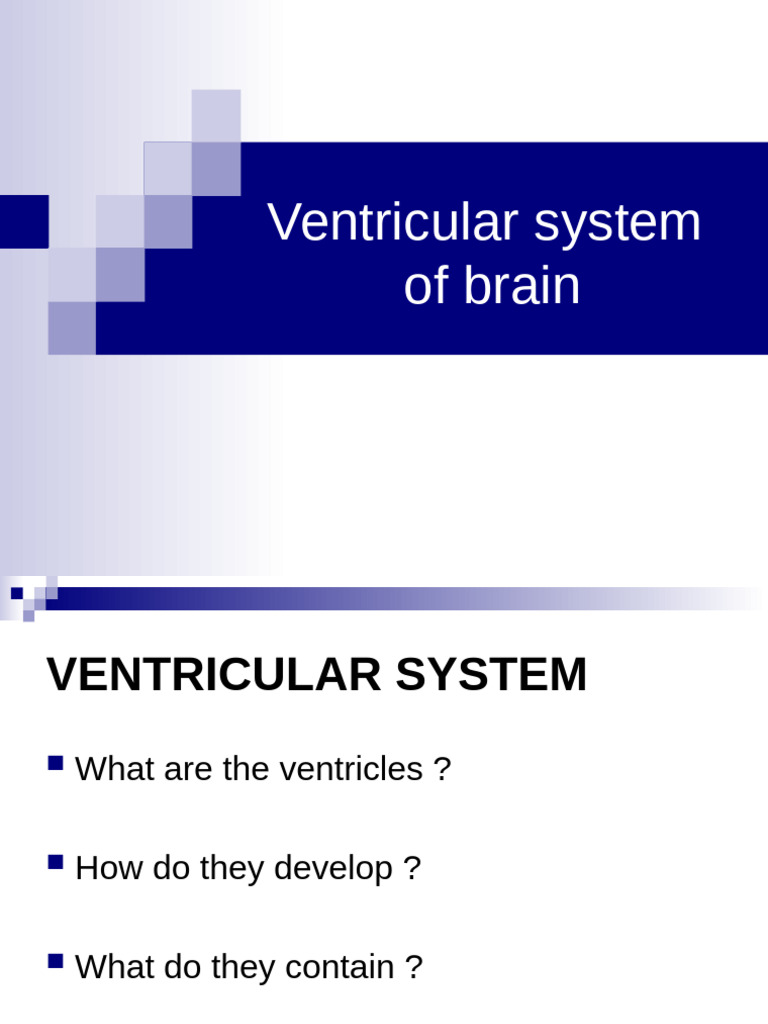 Overview of the Brain's Ventricular System | PDF | Cerebrospinal Fluid ...