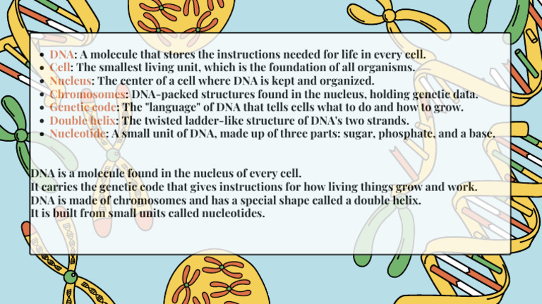 DNA Cell Nucleus Chromosomes Genetic Code Double Helix Nucleotide | PDF