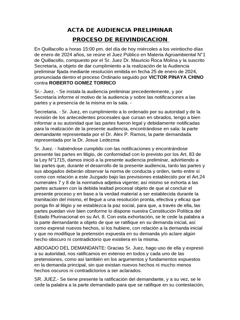 Acta de Audiencia Preliminar | PDF | Demanda judicial | Justicia