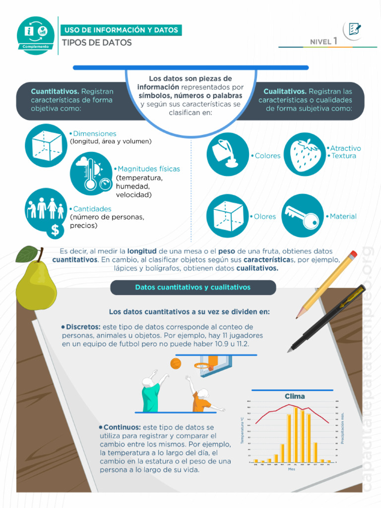 Tipos de Datos | PDF