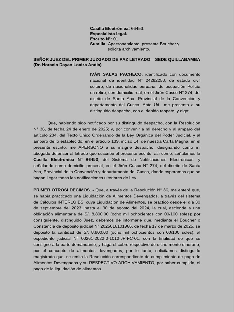 1. Apersonamiento, Presenta Boucher y Solicita Archivamiento a19 | PDF | Ley procesal | Justicia