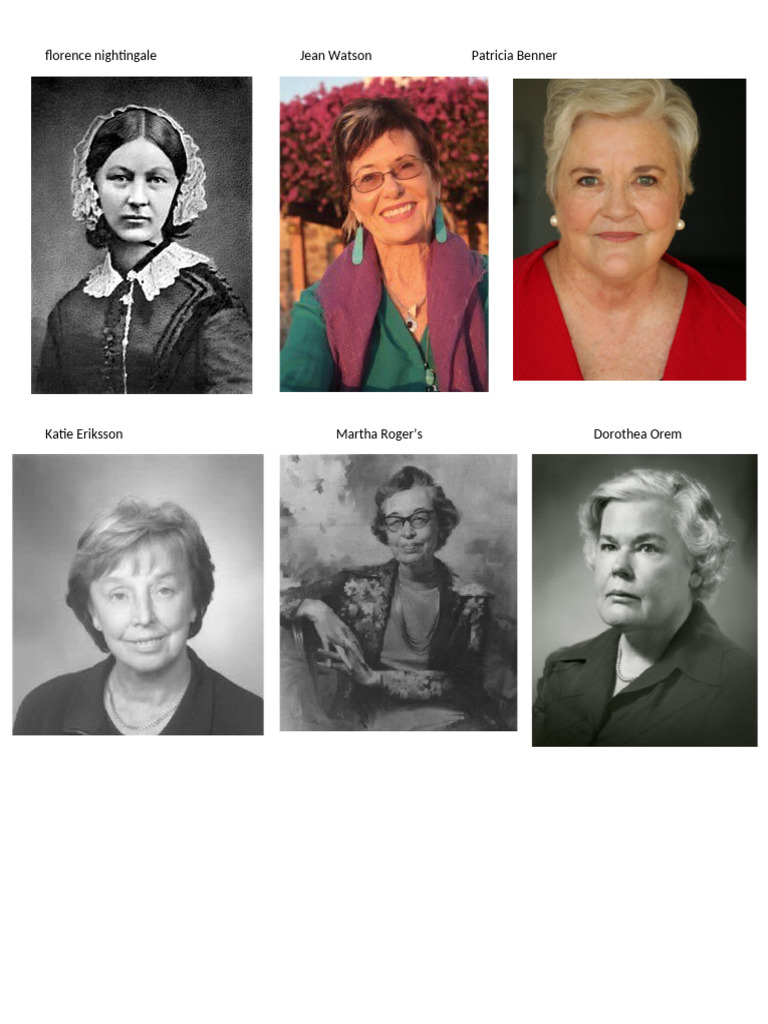 Tfn Nursing Theoritical Works | PDF