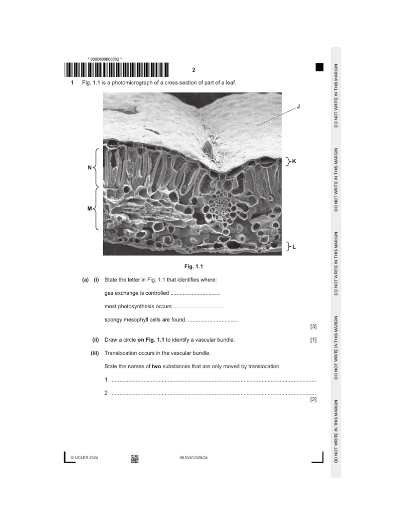 Leaf Structure and Cholera Pathogen Analysis | PDF | Leaf | Stimulus ...