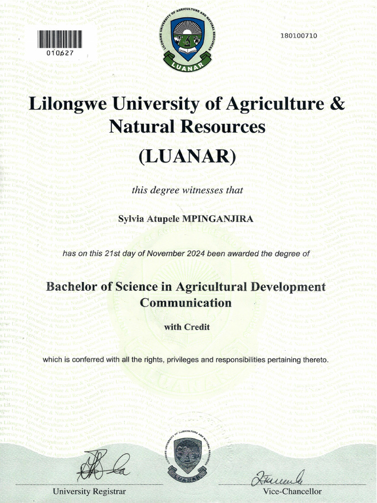 Bsc Certificate S. Mpinganjira | PDF