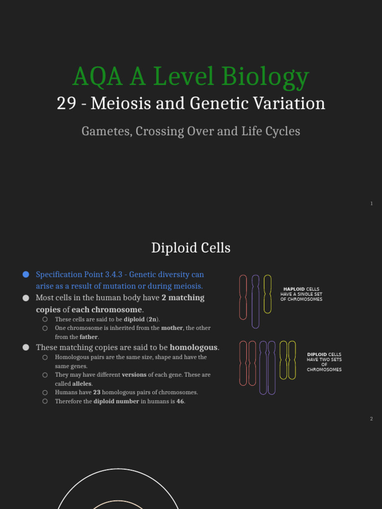 Meiosis and Genetic Variation Explained | PDF | Meiosis | Ploidy