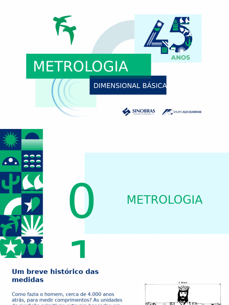 Metrologia Dimensional: Medidas e Instrumentos | PDF | Medição | Metro