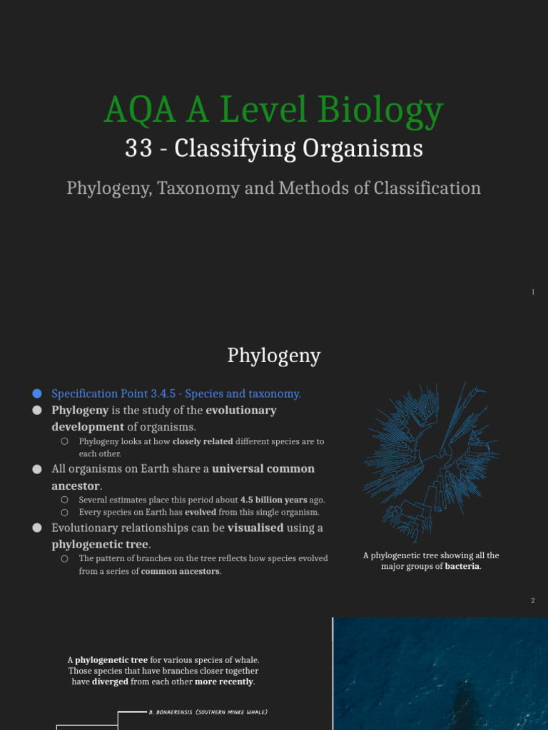 Courtship Behavior in Taxonomy | PDF | Phylogenetics | Taxonomy (Biology)