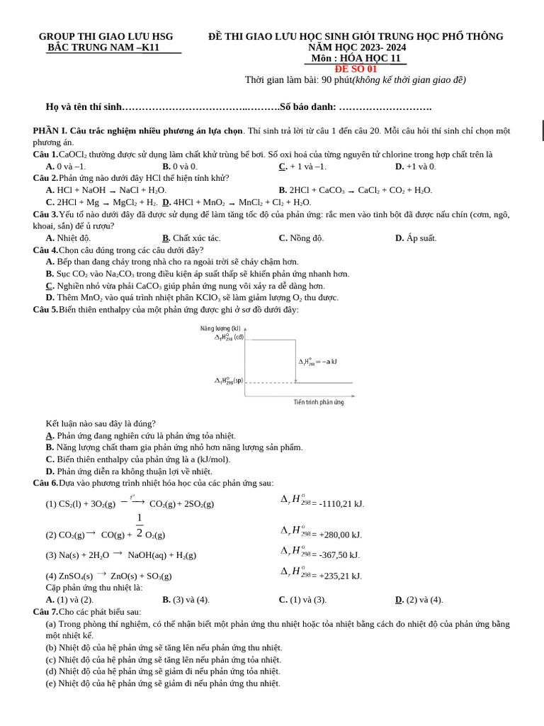 HSG 11 đề 1 | PDF