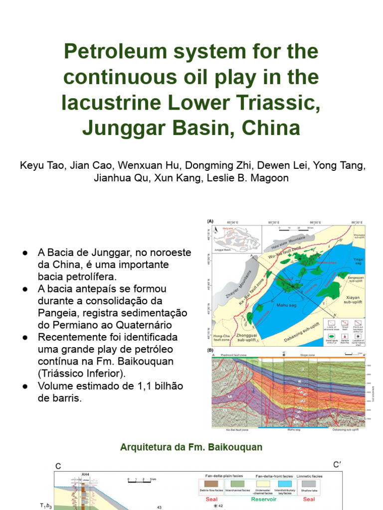 Petroleum system for the continuous oil play in the lacustrine Lower ...