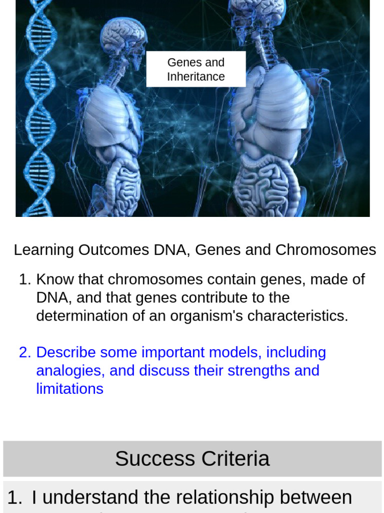Genes and Inheritance | PDF | Dna | Gene