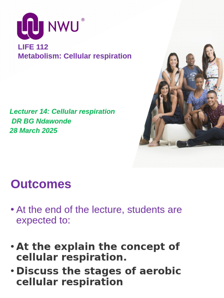 Lecture 14 - Cellular Respiration | PDF | Cellular Respiration | Adenosine Diphosphate