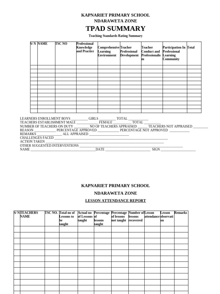TPAD 2 SUMMARY Template | PDF