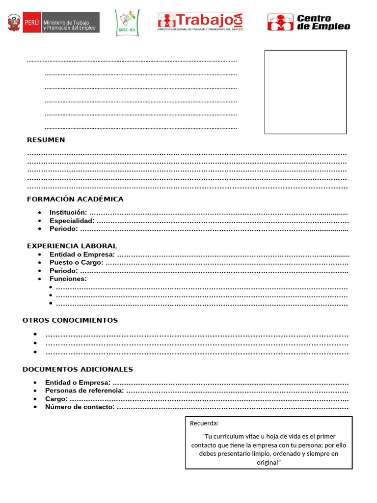 CV EN BLANCO | PDF