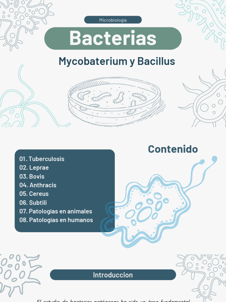 Mycobacterium y Bacillus | PDF | Mycobacterium | Tuberculosis