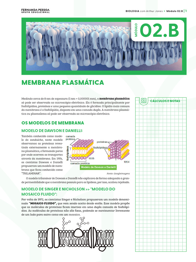 Funções e Estrutura do Glicocálice | PDF | Osmose | Membrana celular