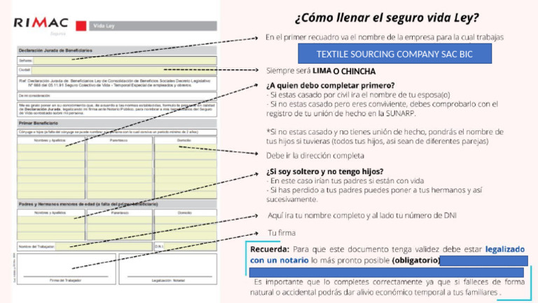 FORMATO DE LLENADO | PDF