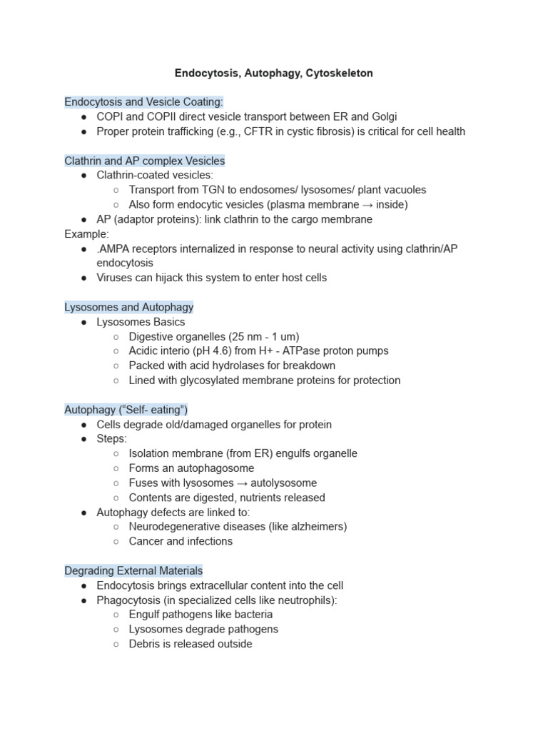 2) Endocytosis, Autophagy, Cytoskeleton | PDF | Microtubule | Lysosome