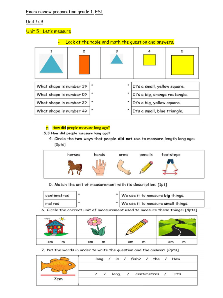ESL Exam Review Preparation Grade 1 - Sem 2 2024 | PDF | Insects | Spider