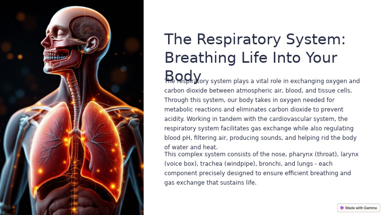 The Respiratory System Breathing Life Into Your Body | PDF