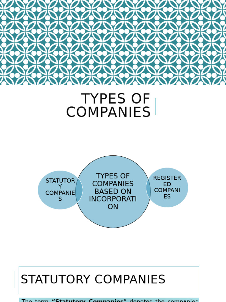 Types of Companies Explained | PDF | Companies | Guarantee