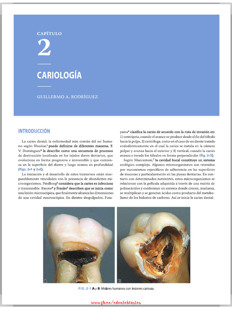 CARIOLOGÌA | PDF