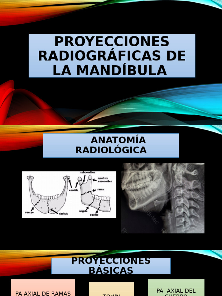 Proyecciones Radiográficas de Mandíbula | PDF