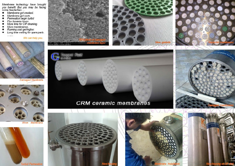 Membrane Replacement | PDF