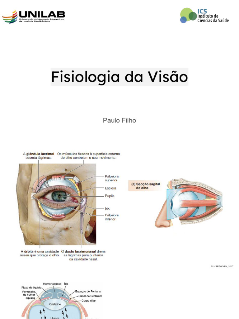 Fisiologia Da Visão | PDF