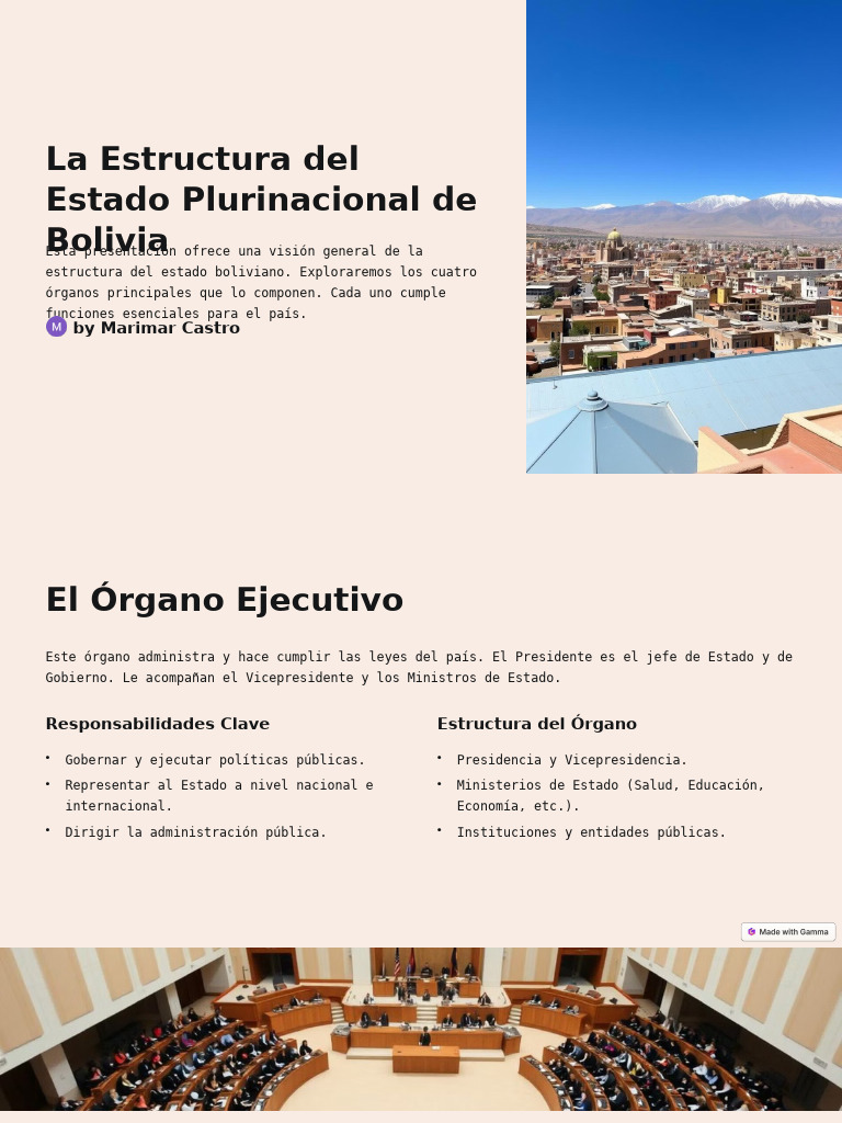 La Estructura Del Estado Plurinacional de Bolivia | PDF | Judicaturas ...
