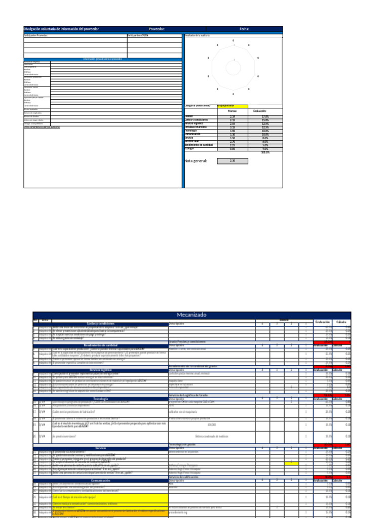 Audit Review Format - En.es | PDF | Medición | Instrumentación