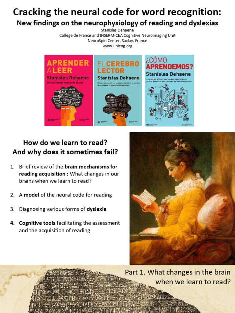 Neuronal code for reading and dyslexia - Wumbox 2025_compressed-1-42 | PDF | Visual Cortex ...